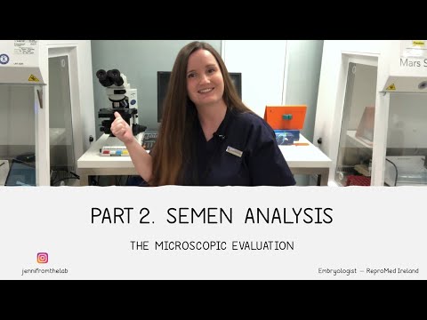 Semen Analysis. The Microscopic evaluation.