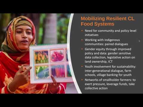 Livelihoods, Food Security, Nutrition, and COVID-19 – The Movement for ...