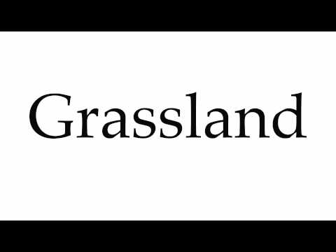 How to Pronounce Grassland