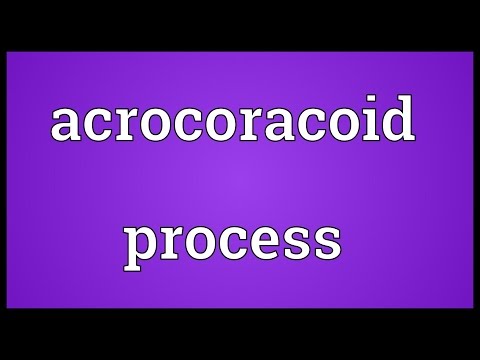 Acrocoracoid process Meaning