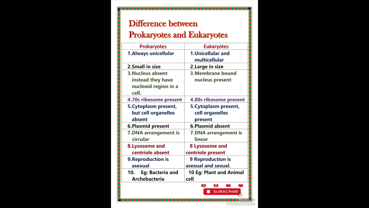 Difference between Prokaryotic and Eukaryotic cell
