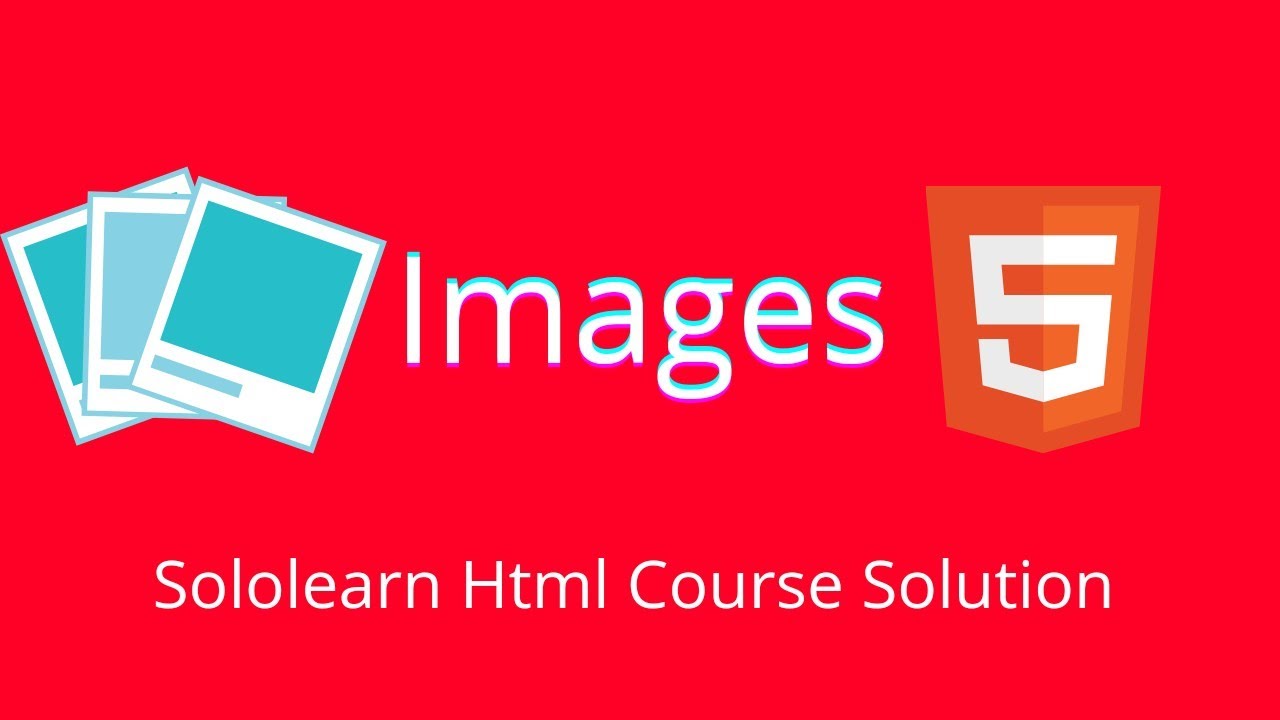 Images | Html Basic | Sololearn Html Course Solution #shorts #sololearn #PCoder