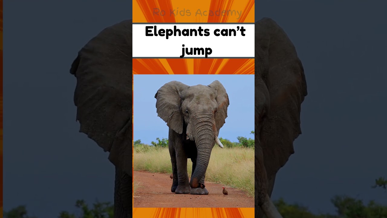 Fun Facts Every Kid Should Know!