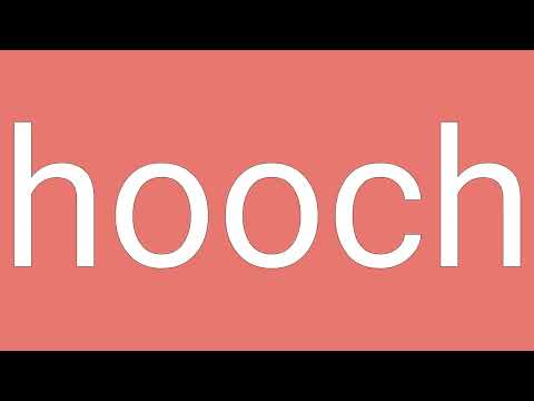 Hooch Definition & Meaning