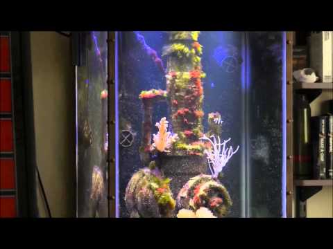 Aquarium / Fish Tank Pipework / Pipes Ornament Parts - Steampunk by ...
