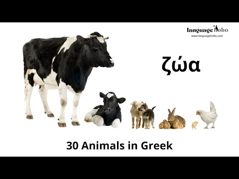 Animals in Greek (ΞΟΞ±) - Learn 30 Animal Names in the Greek Language
