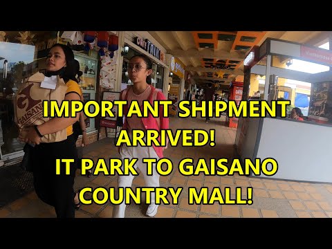 SHIPPING DOCUMENTS & QUESTIONS ANSWERED! DHL, LBC, FEDEX?