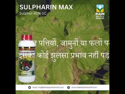 Sulphur - 7704-34-9 Latest Price, Manufacturers & Suppliers