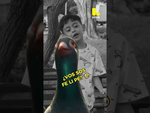 😱 ¿FELIPE SE HIZO VIRAL EN PERÚ?😂 #pobrenovio