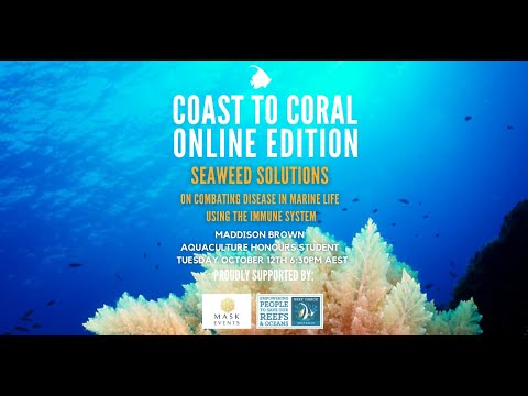 Coast to Coral Seaweed Solutions