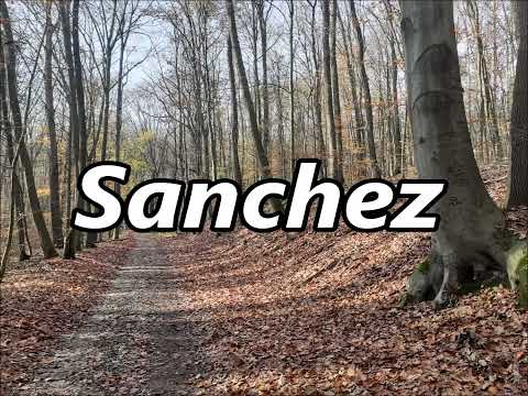 SANCHEZ as Family Name Meaning and Origin
