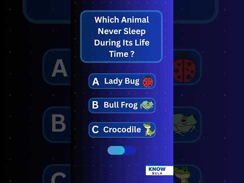 Animal Quiz 🐄🐞 Animal Lovers | #quiz #quizchallenge #youtubeshorts #shortfeed #shorts