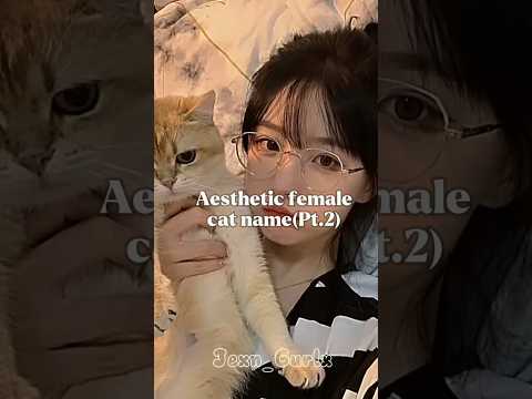 Cute Aesthetic cat names🤍☄️(Plz_Subscribe)#viralshort #aestheticmusic #paro #spedup #fypシ゚viral
