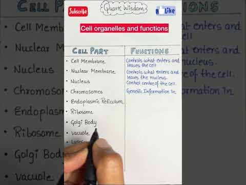 Cell Organelles and functions #shorts