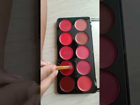 Swiss Beauty Lip Palette #lipstick #lipcolour #swissbeauty #lakme #explore #youtubeshorts #shorts