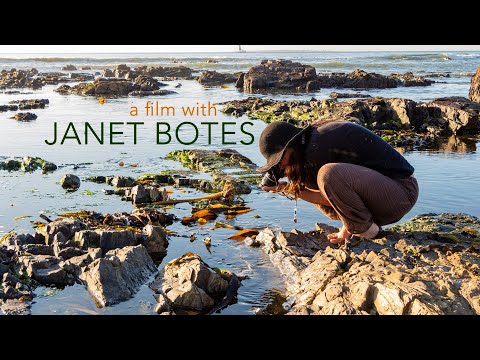 JANET BOTES : nature artist film