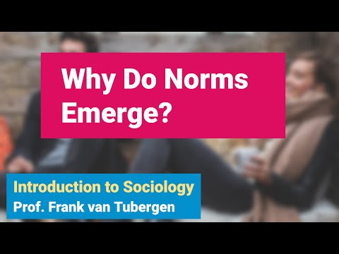 6.6 Why Do Norms Emerge? | Introduction to Sociology course - SOC 101