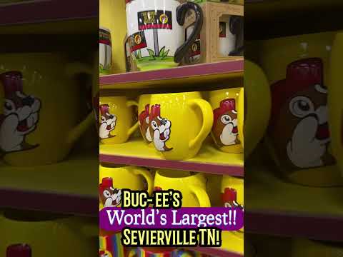 What!? New! World’s Largest Buc-ee’s! Sevierville Tennessee! Do you like it?? New 2023!