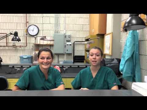 Sealants for Adults