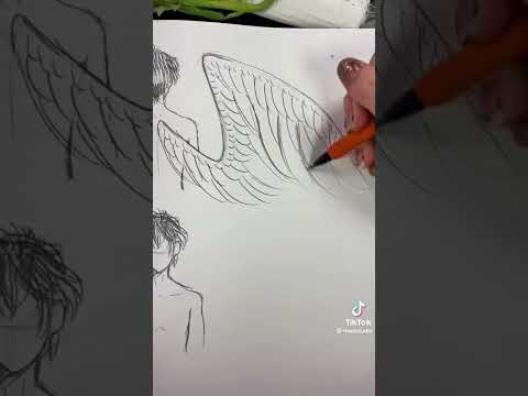 Tut on how to draw wings