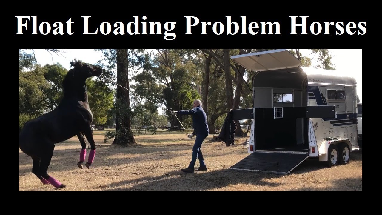 Horsemanship - Horse Float Loading Problems