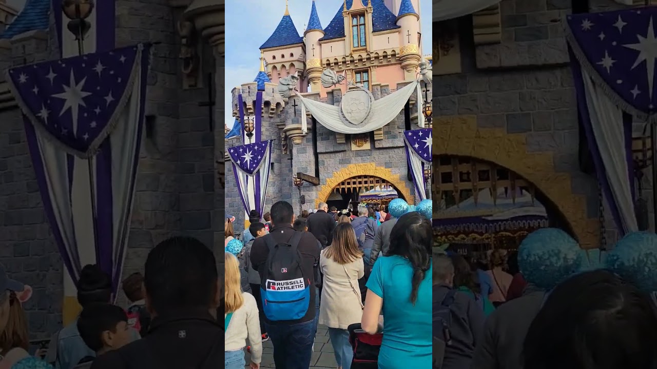 Walking through Sleeping Beauty castle at Disneyland #magickingdom