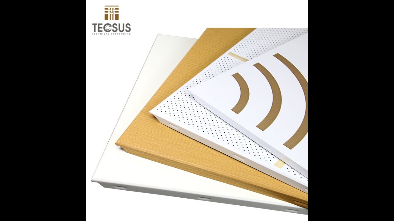 Tecsus Metal Clip In Ceiling