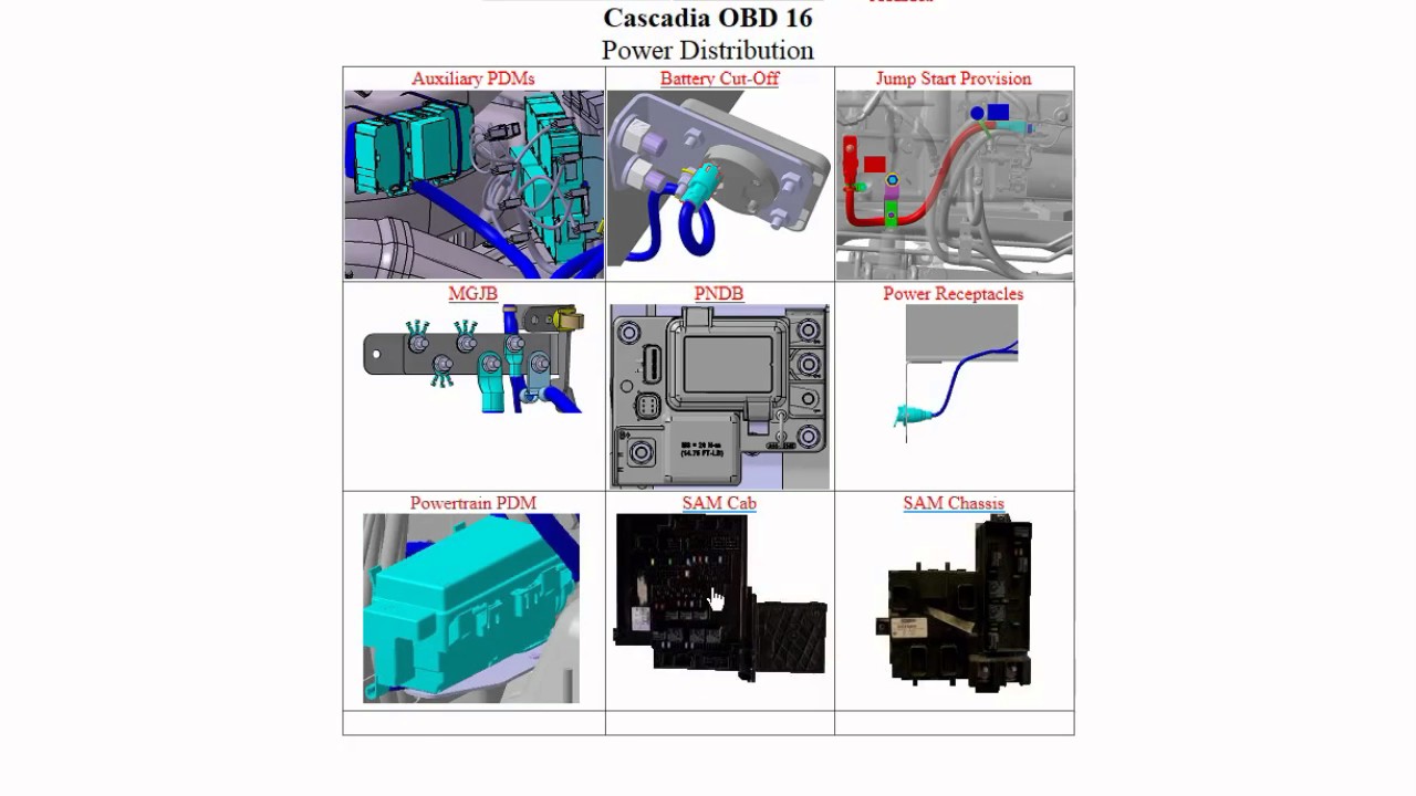 Freightliner Connector/Terminal Information