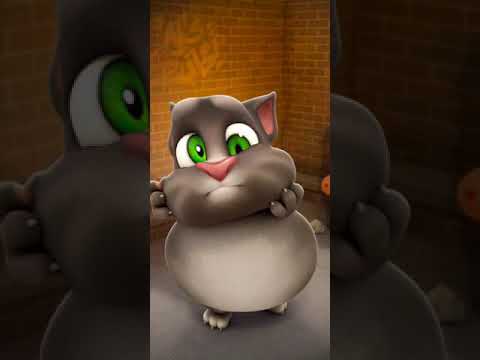Talking Tom Cat New Video Best Funny Android GamePlay #2449
