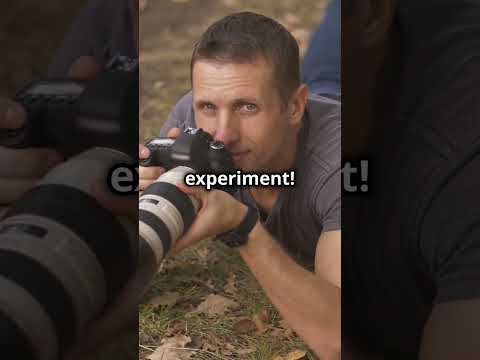 Ultimate Guide to Nature Photography Techniques