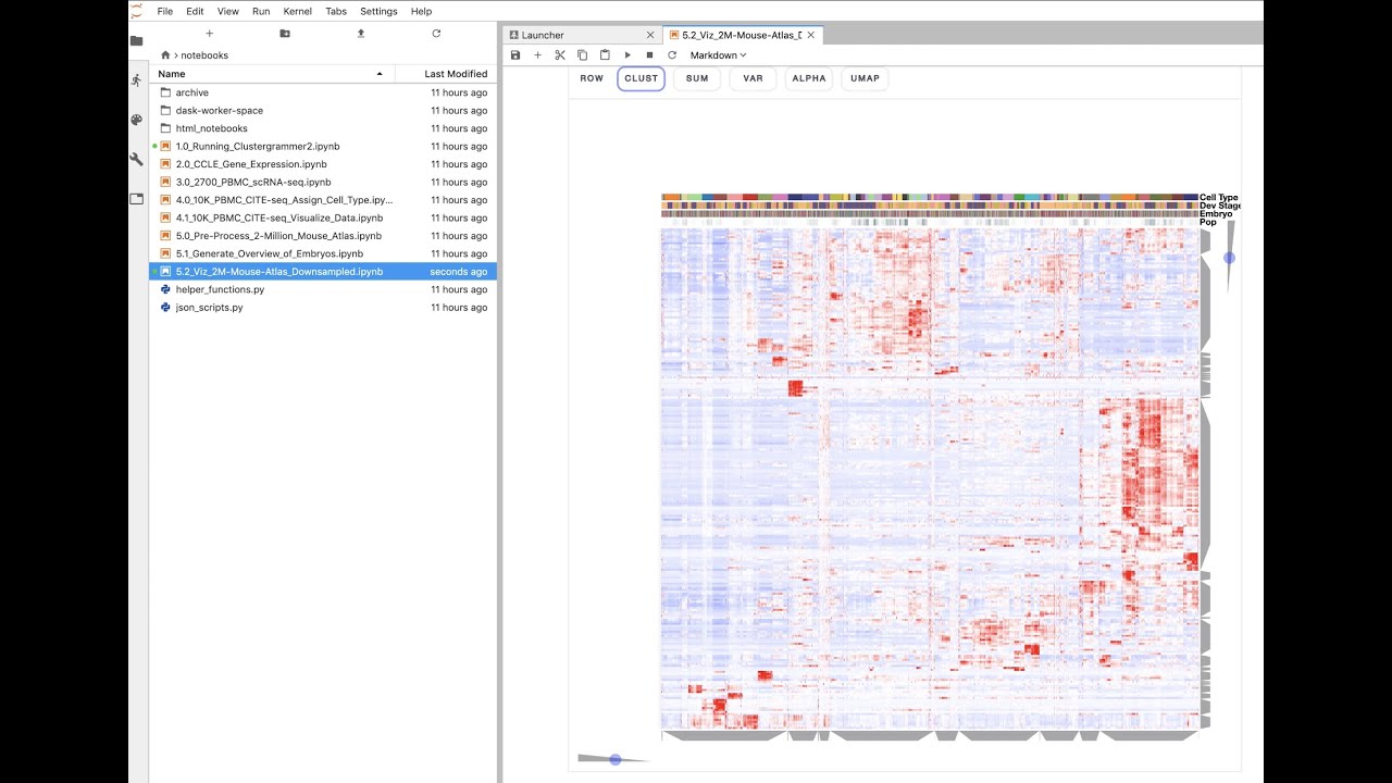 Mouse Organogenesis Cell Atlas with Clustergrammer2