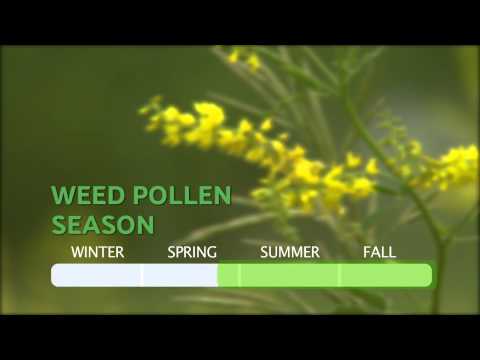 How Long Does Allergy Season last? -- From the makers of ZYRTEC®