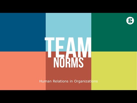 Team Norms