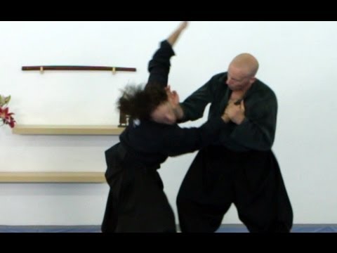 Ninjutsu Joint Locks: Principles, Applications, and Variations | AKBAN