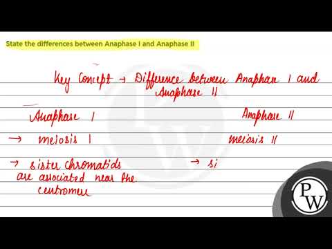 State the differences between Anaphase I and Anaphase II....