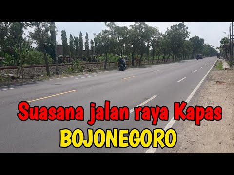 SUASANA JALAN RAYA DS. PLESUNGAN KEC. KAPAS BOJONEGORO ‼