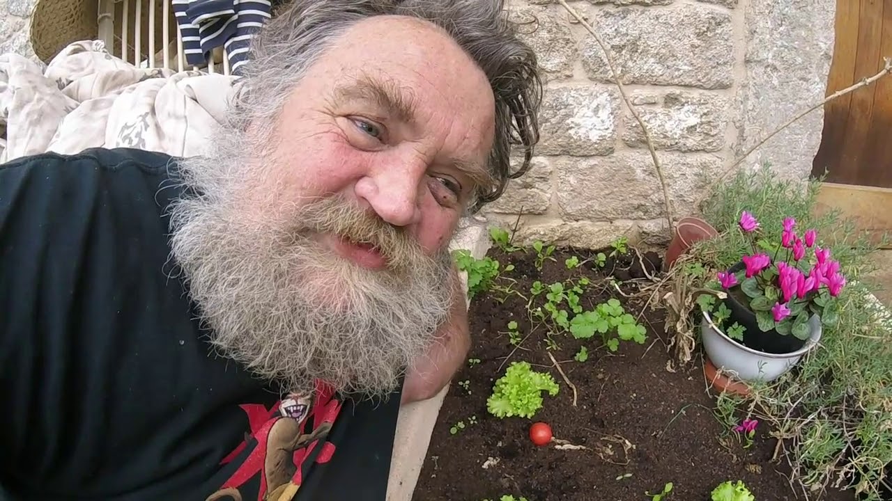 🔵 Salad Days - Salad Days Meaning - Salad Days Examples - Shakespeare Quotes