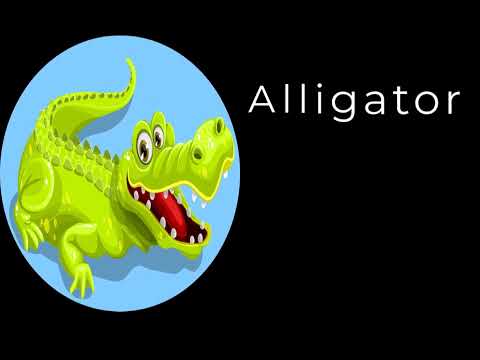 Learn How To Spell ALLIGATOR correctly