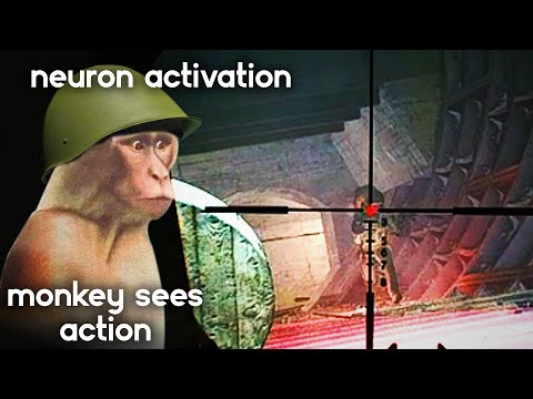 Steam Community :: Video :: No One Camps D2 (Escape From Tarkov Extract ...