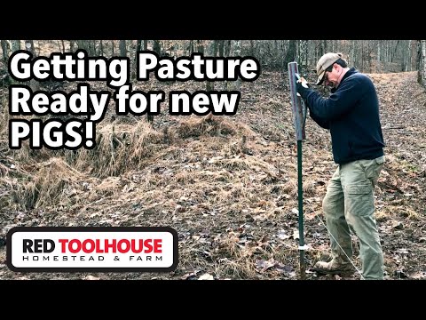 Our NEW pigs arrive in ONE WEEK and our fences need UPGRADED