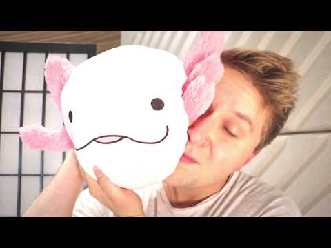 Hola Salamanders - Funny Japanese Axolotl plushies