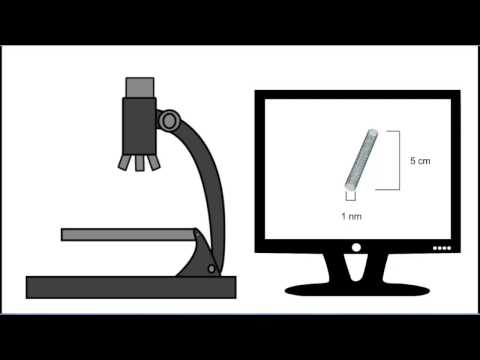 Nanotechnology Video 1: What is a nanometer?