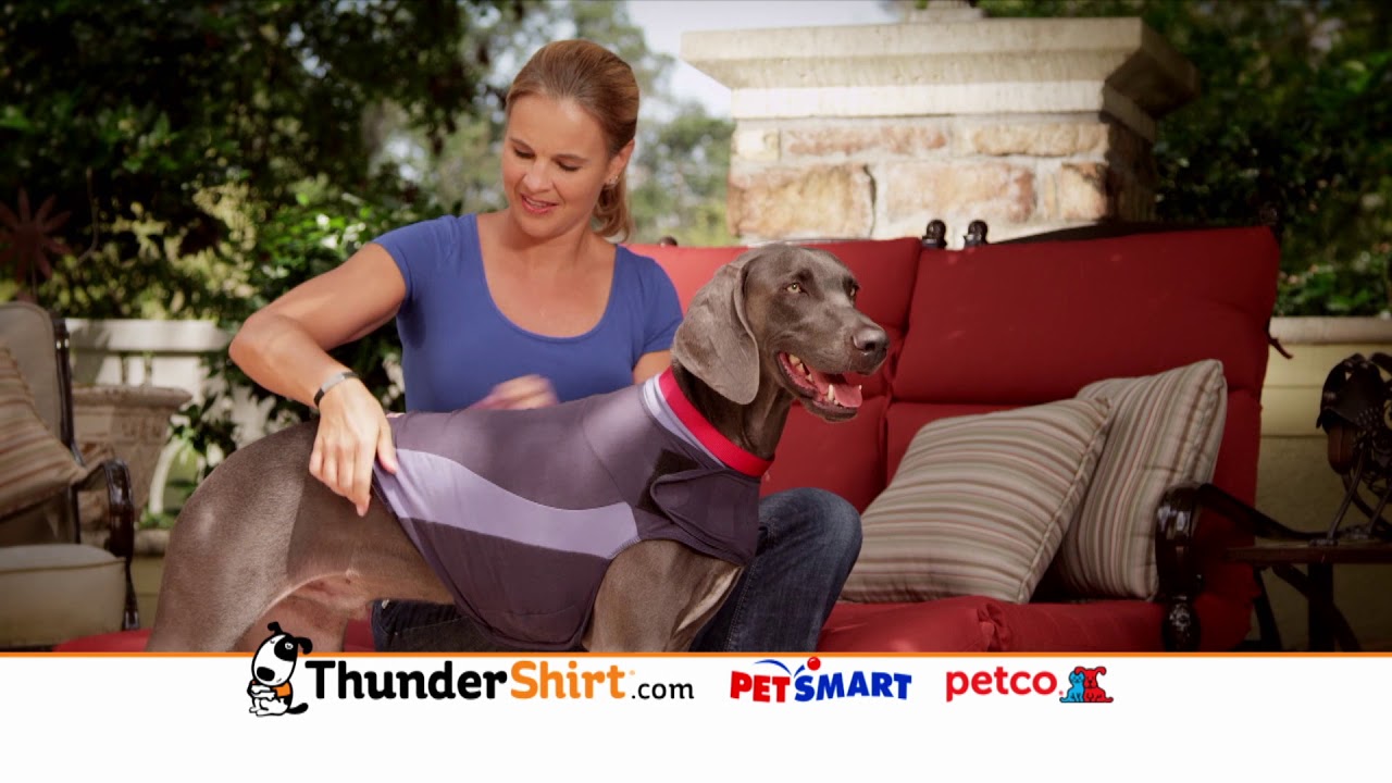 ThunderShirt :30 Infomercial 2019