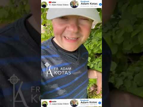 "PARA SER BUENA ESPOSA, TIENES QUE SER BUENA NOVIA''✝️ Padre Adam Kotas ✝️ Consejitos