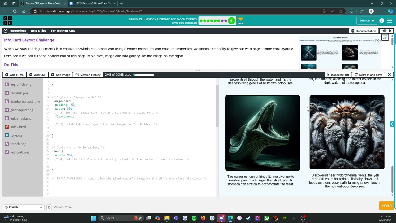 Code.org - CS Discoveries - Unit 2: Web Development - Lesson 13: Level 9