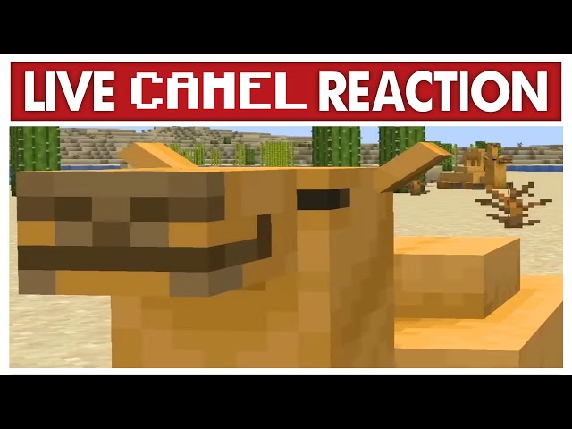 How to download and update to Minecraft 1.20 update on all devices