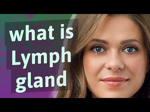 Lymph gland | meaning of Lymph gland