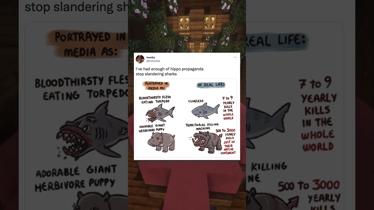 A Hippo Propaganda Tumblr Post