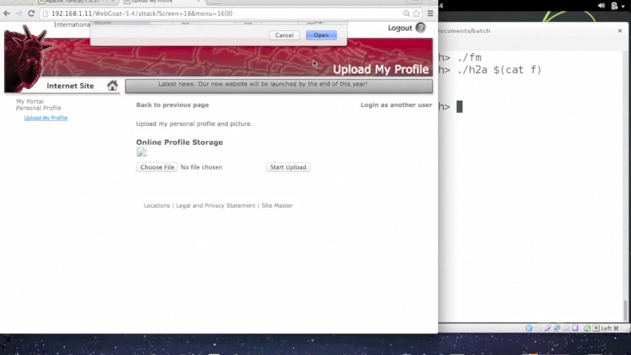 Hacking Demo - Buffer Overflow, Shellcode, Webshell (edit with subtitles)