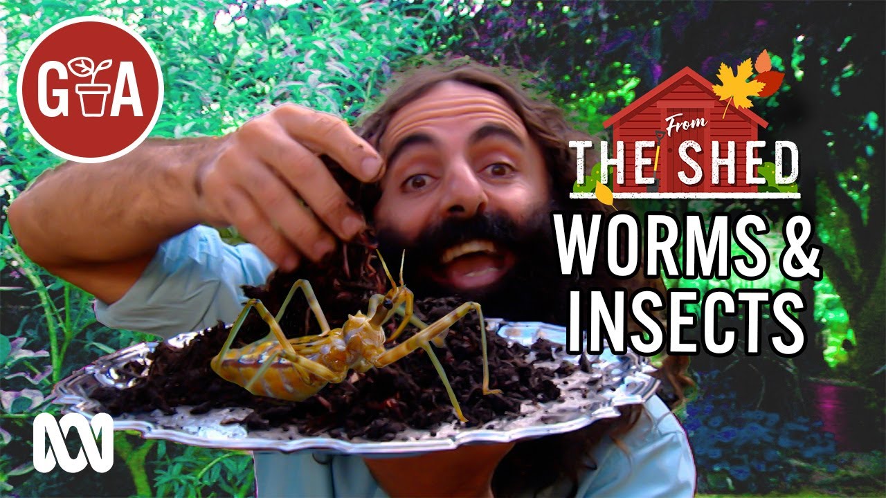 How to Manage Garden Predators | From the Shed | Gardening Australia